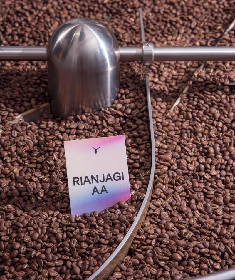 Studio Yoke | Design and Creative Branding Studio